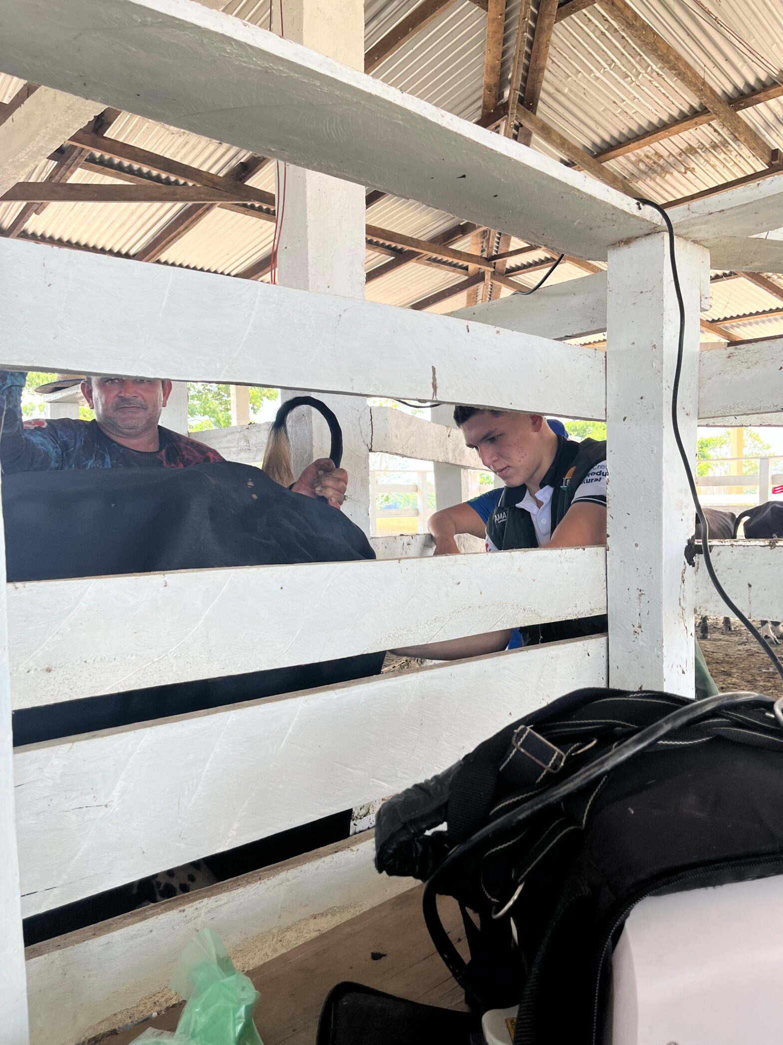 Em Careiro da Várzea, Idam dá início à primeira etapa do Programa ...