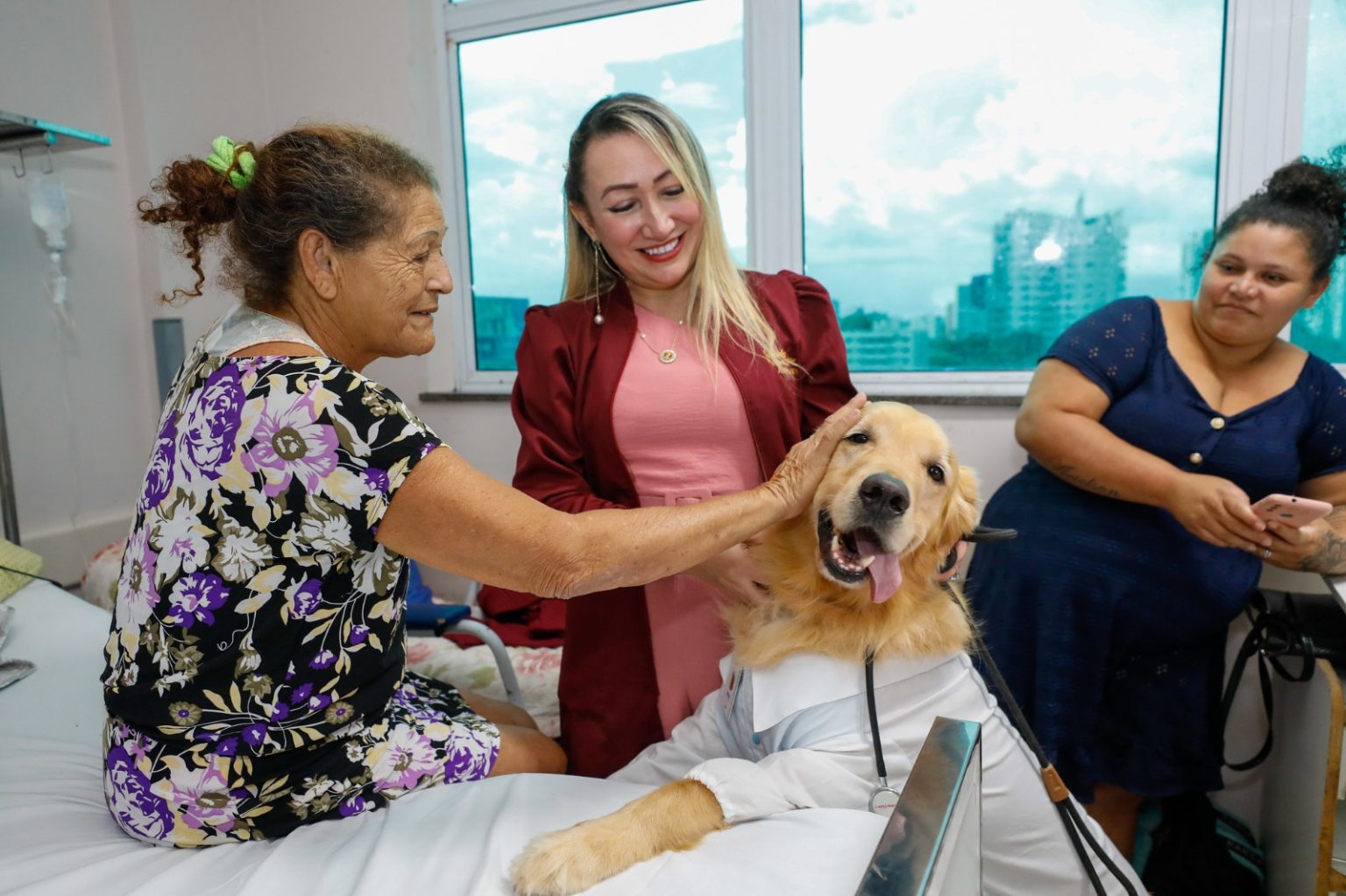 Cães terapeutas levam alegria e contribuem para a recuperação de ...